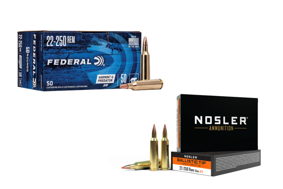 Fastest Rifle Cartridges: 9 Choices With the Best Bullet Velocity