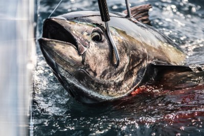 Florida Fishing Licenses: A Breakdown of What You Need