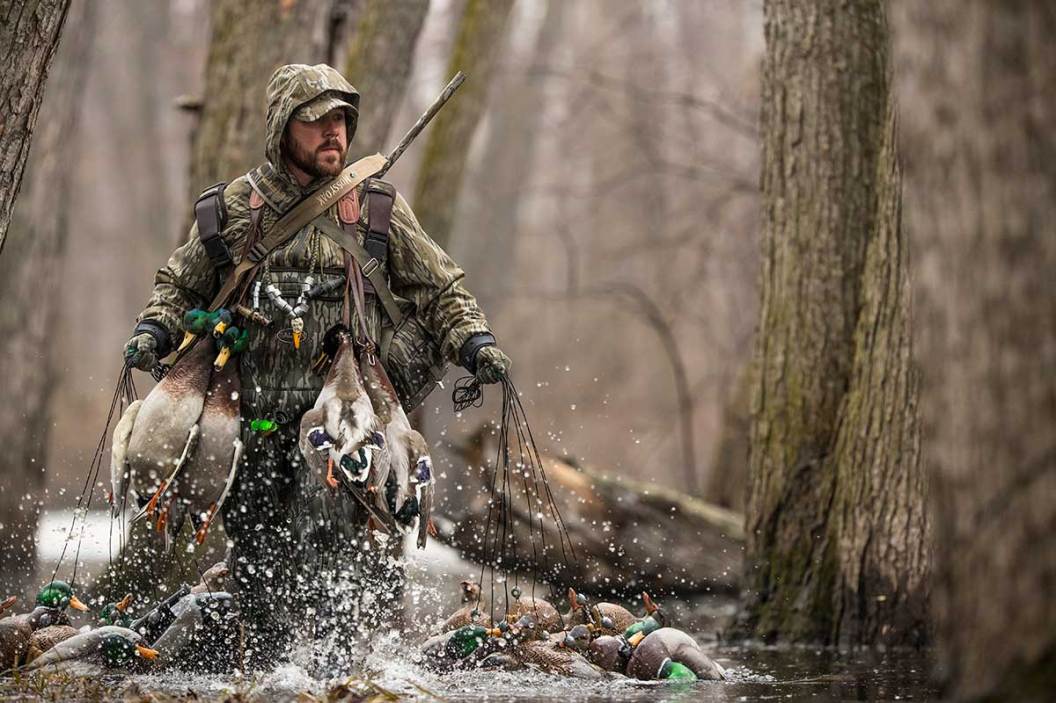 10 Most Popular Duck Breeds to Hunt