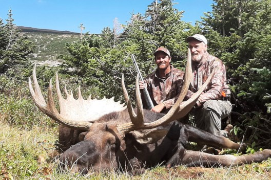 Colorado’s Big Game State Records, From Deer to Mountain Lions