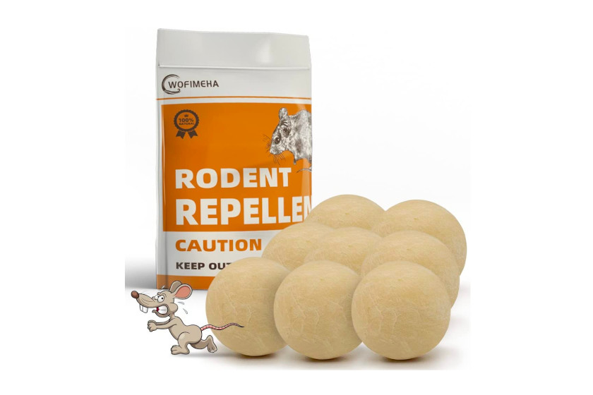 How to Best Keep Mice Out of Your Camper