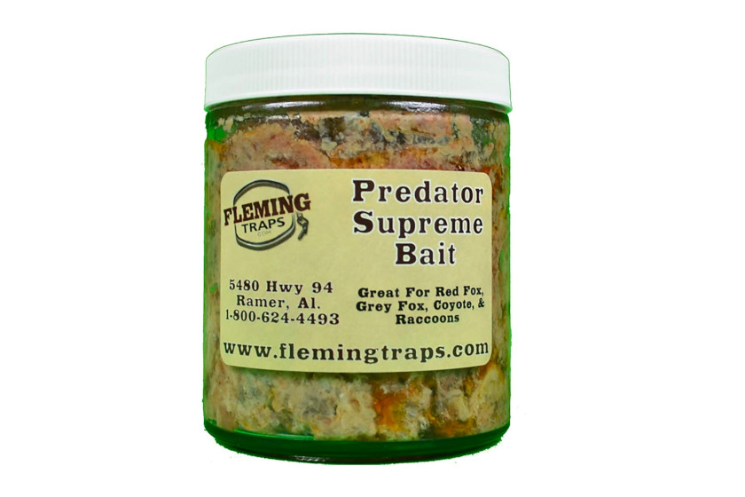 5 Predator Trapping Tips That Catch More Coyotes