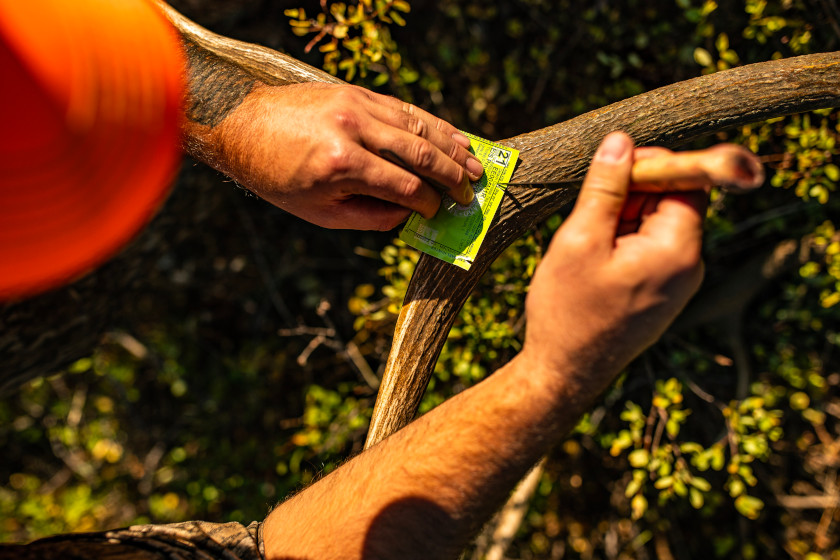 5 Reasons Hunters Are Forced to Pass On Taking the Shot
