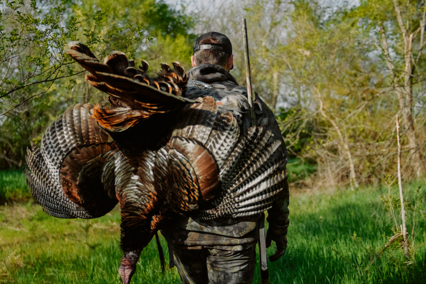 Run and Gun Turkey Method: Where to Start, How to Execute
