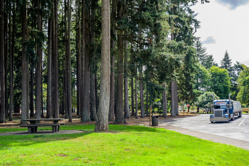 Stealth Camping: Legalities and Tips for Staying Safe on the Road