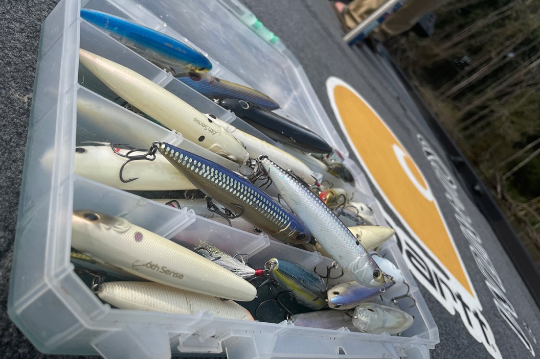 Saltwater Fishing Rigs: 7 Best Setups For Any Approach