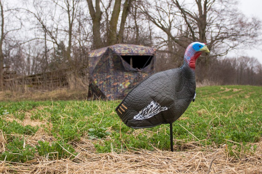 Turkey Decoy Spreads: 4 Classic Arrangements to Bring in a Tom