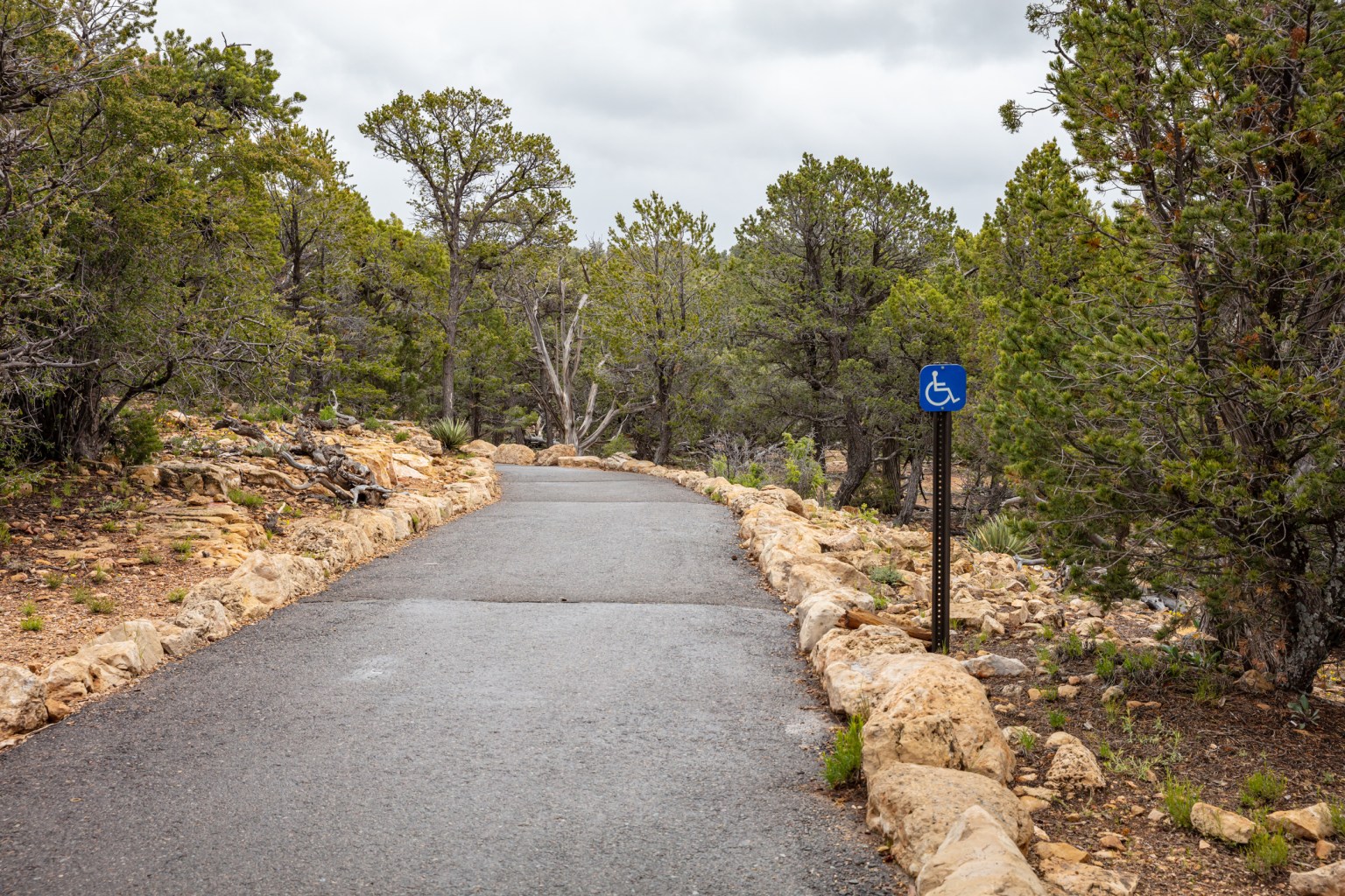 The Best Wheelchair-Accessible National Parks in the US