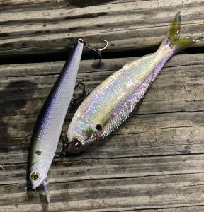 10 Best Spring Bass Lures - Wide Open Spaces