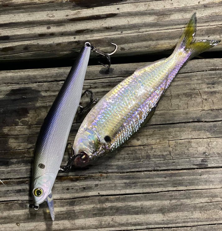 10 Best Spring Bass Lures - Wide Open Spaces