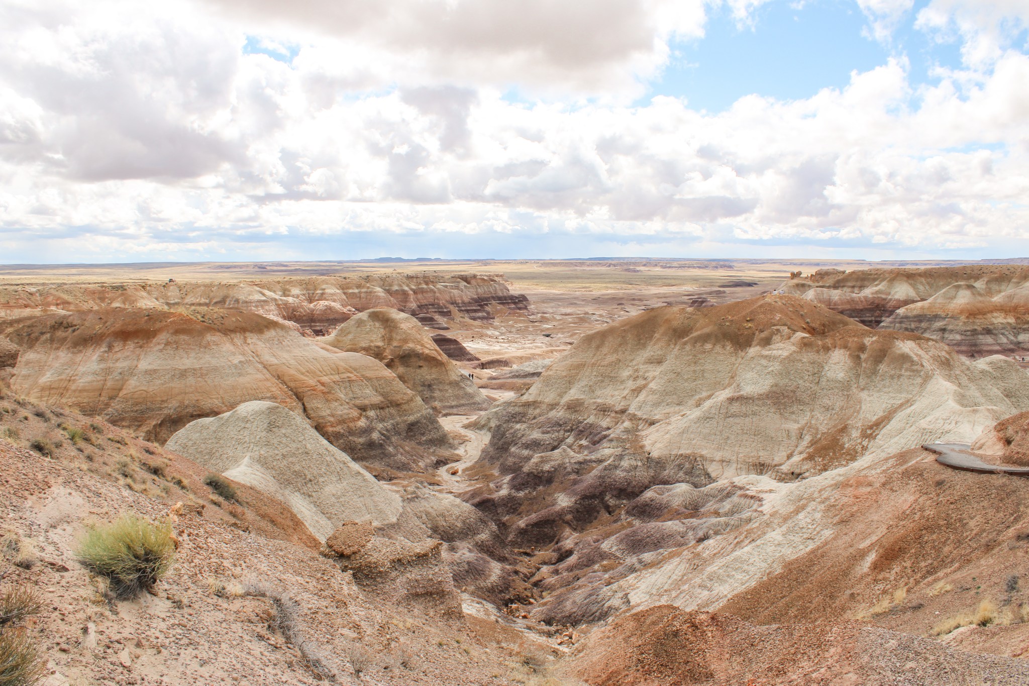The Ultimate Guide to Visiting the Petrified Forest National Park