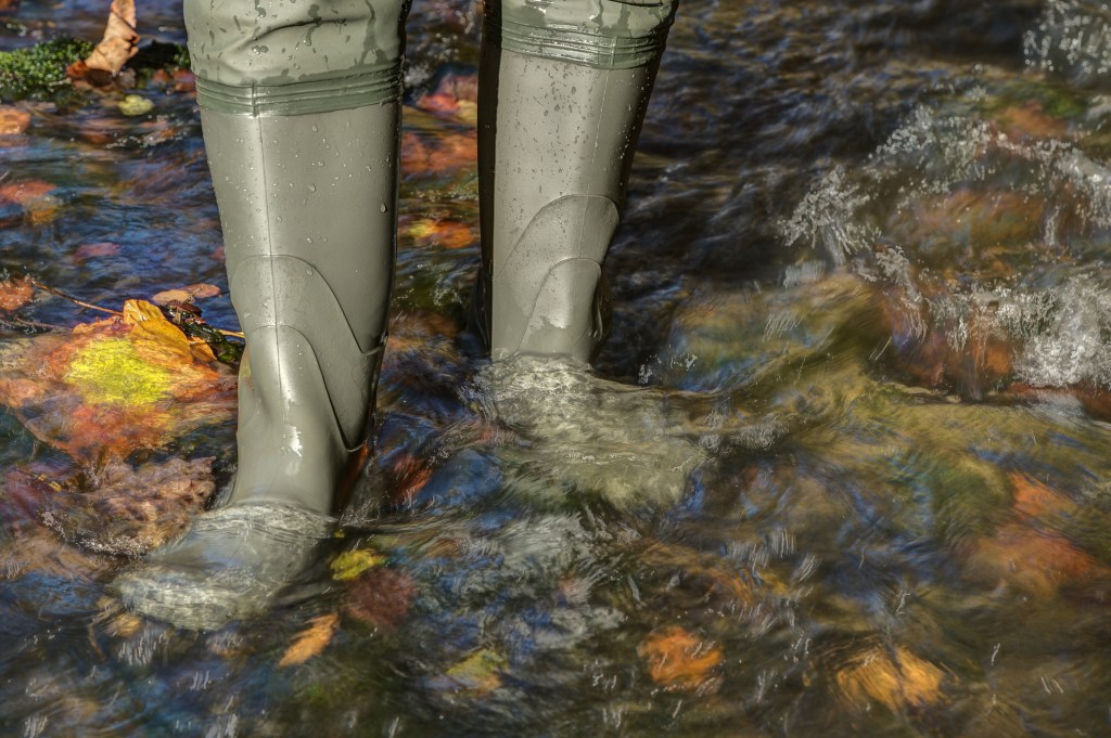 The Right Way to Decontaminate Your Fishing Gear
