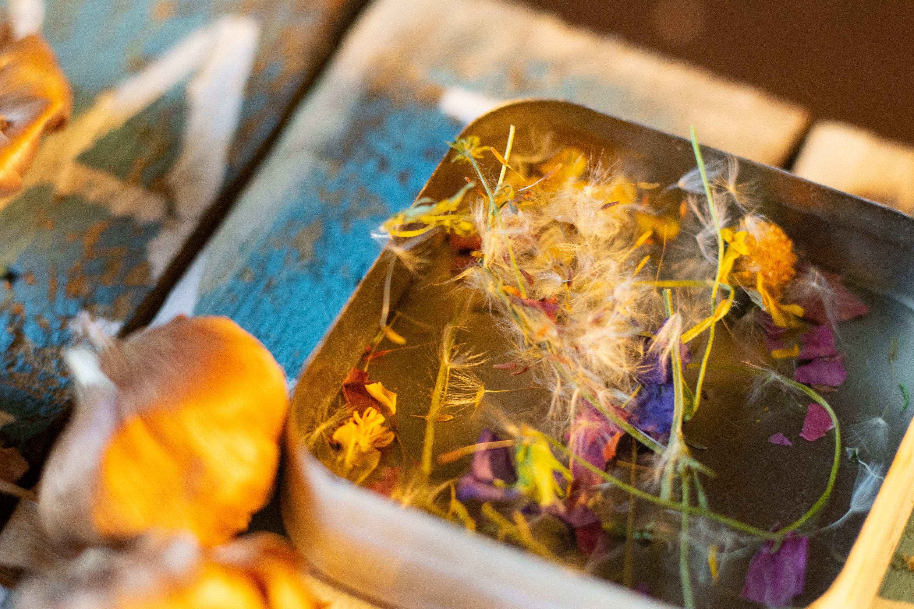 Foraging for Cocktails: Edible Plants to Add to Cocktail Recipes