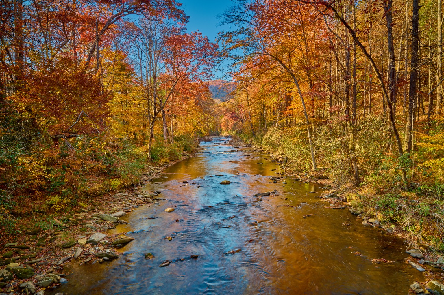 The 15 Best Places for Trout Fishing in the U.S.