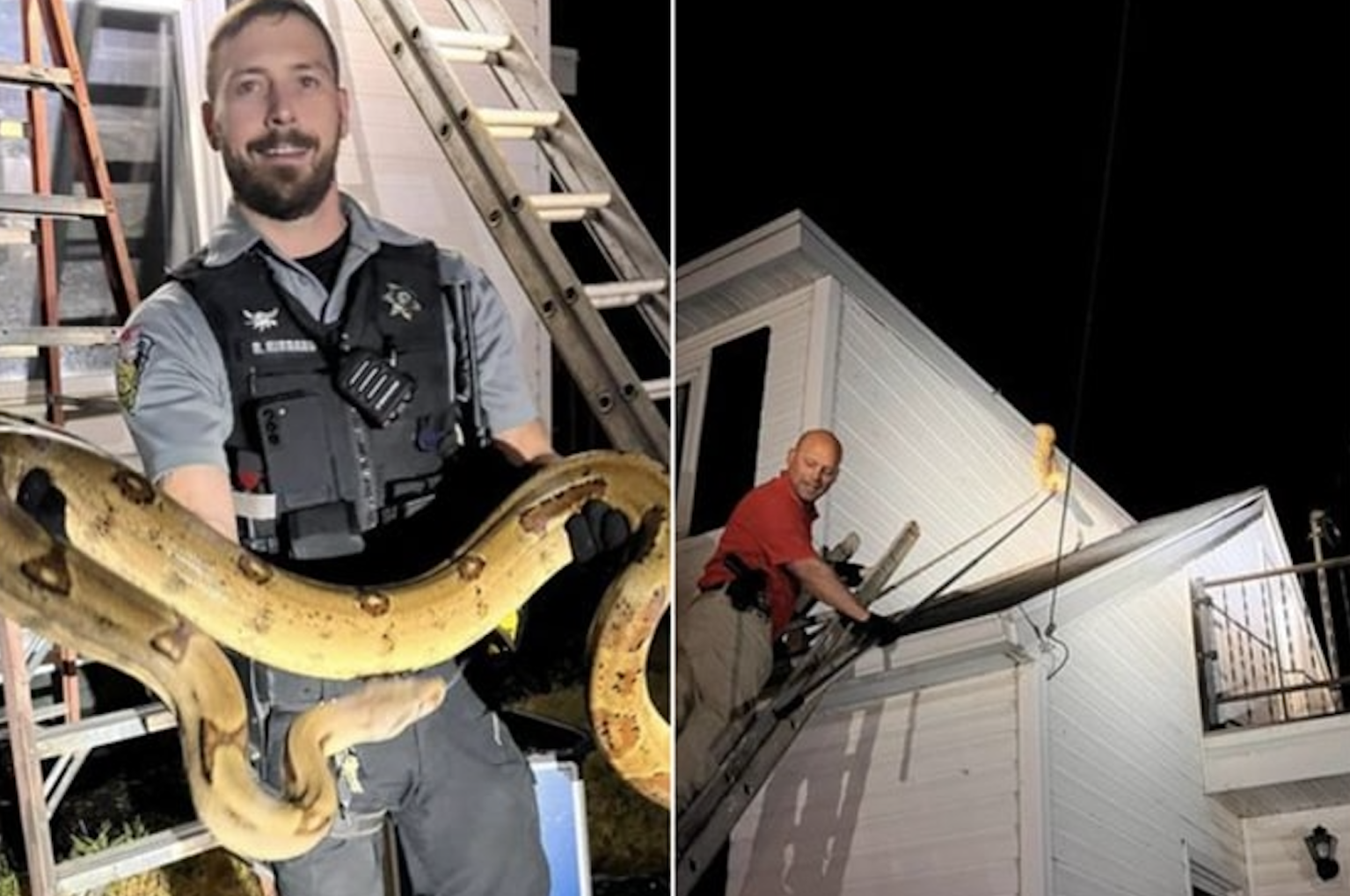 14-Foot Boa Constrictor Found on Roof of Wisconsin Home