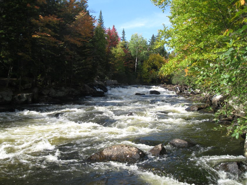 The Best Strategies for Fishing High Water Runoff, From an Expert