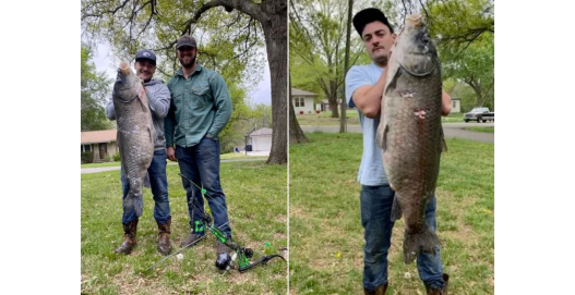 Kansas Man Breaks Record, Bowfishes 65lb Smallmouth Buffalo