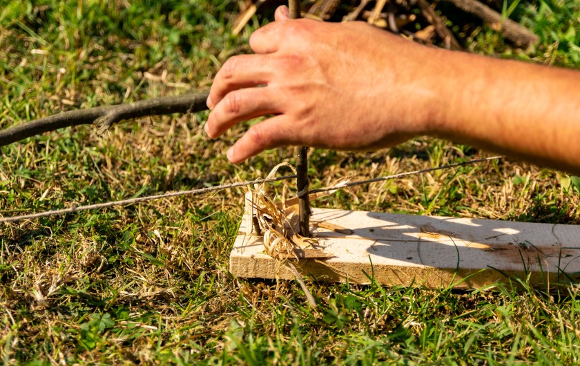 How to Start a Fire from Scratch