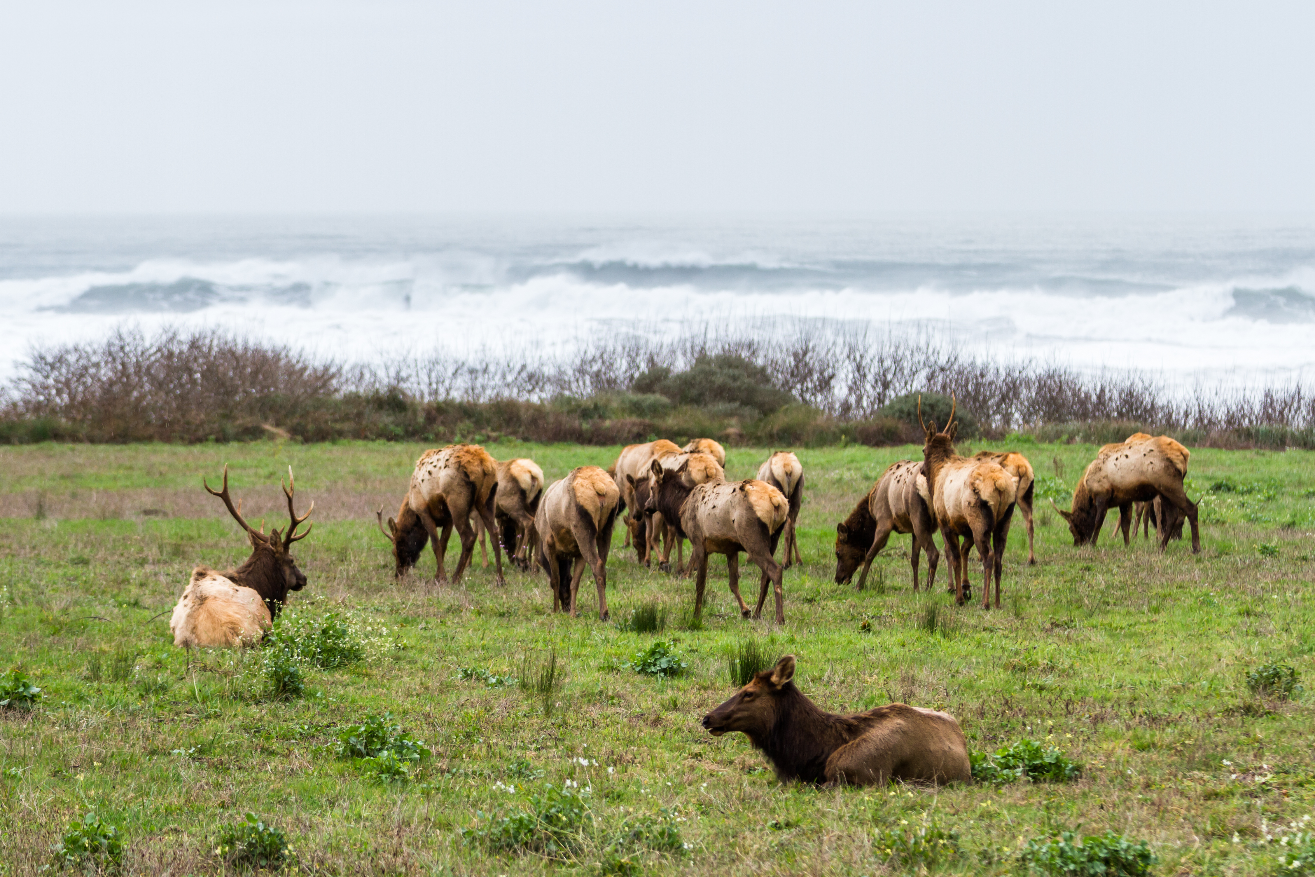 The Worst Poaching Cases of 2023