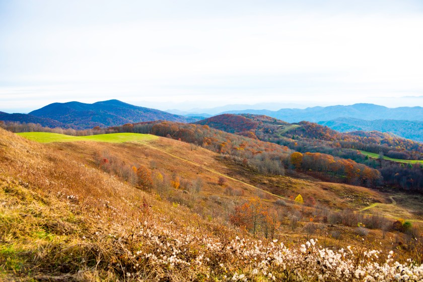 Max Patch Mountain, N.C.: An Short Day Hike With Big Views