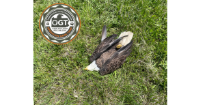 Father of NFL's Rodney Thomas Arrested for Killing a Bald Eagle