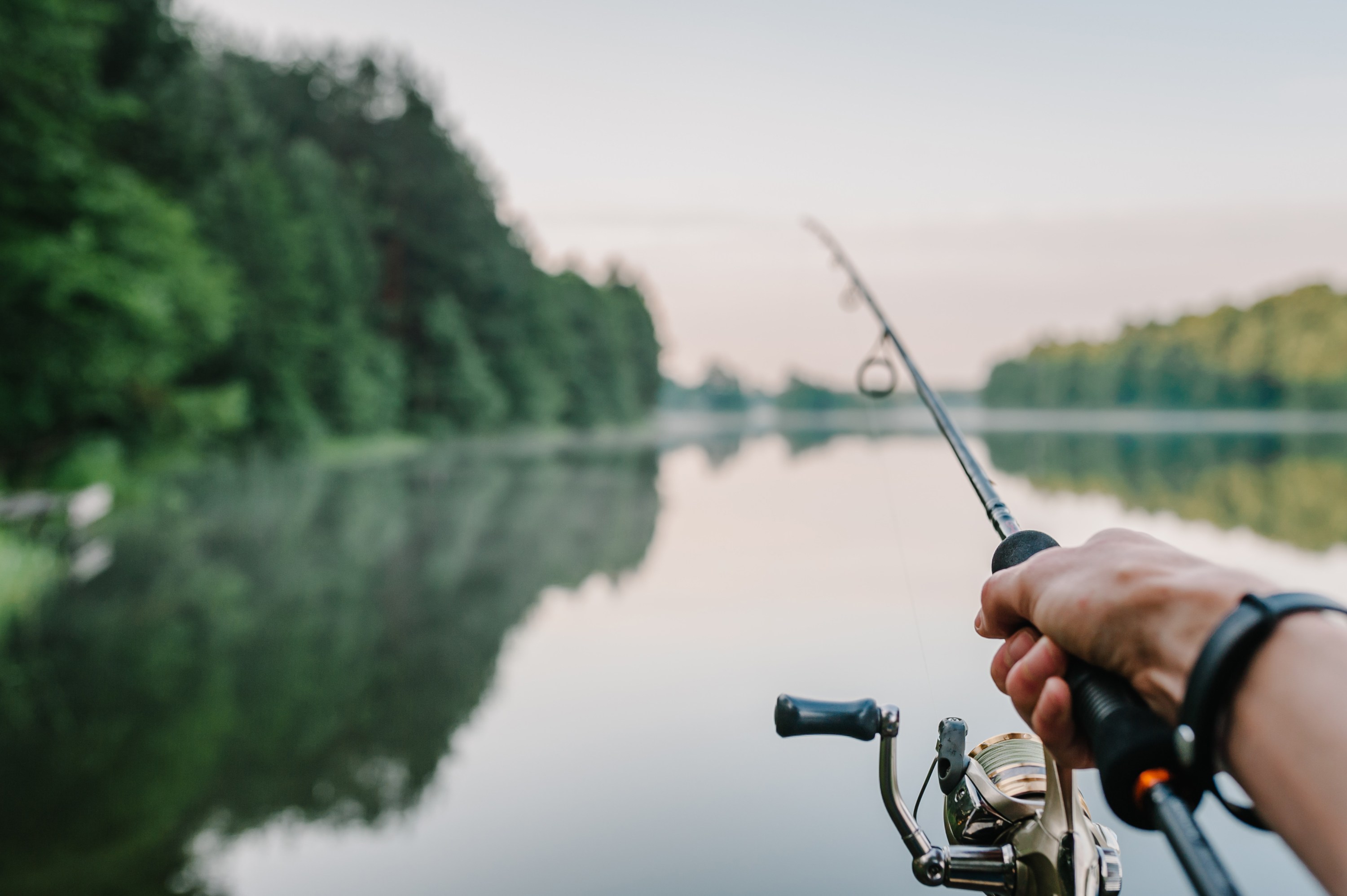 Best Fishing Rods of 2023 | Gear Review