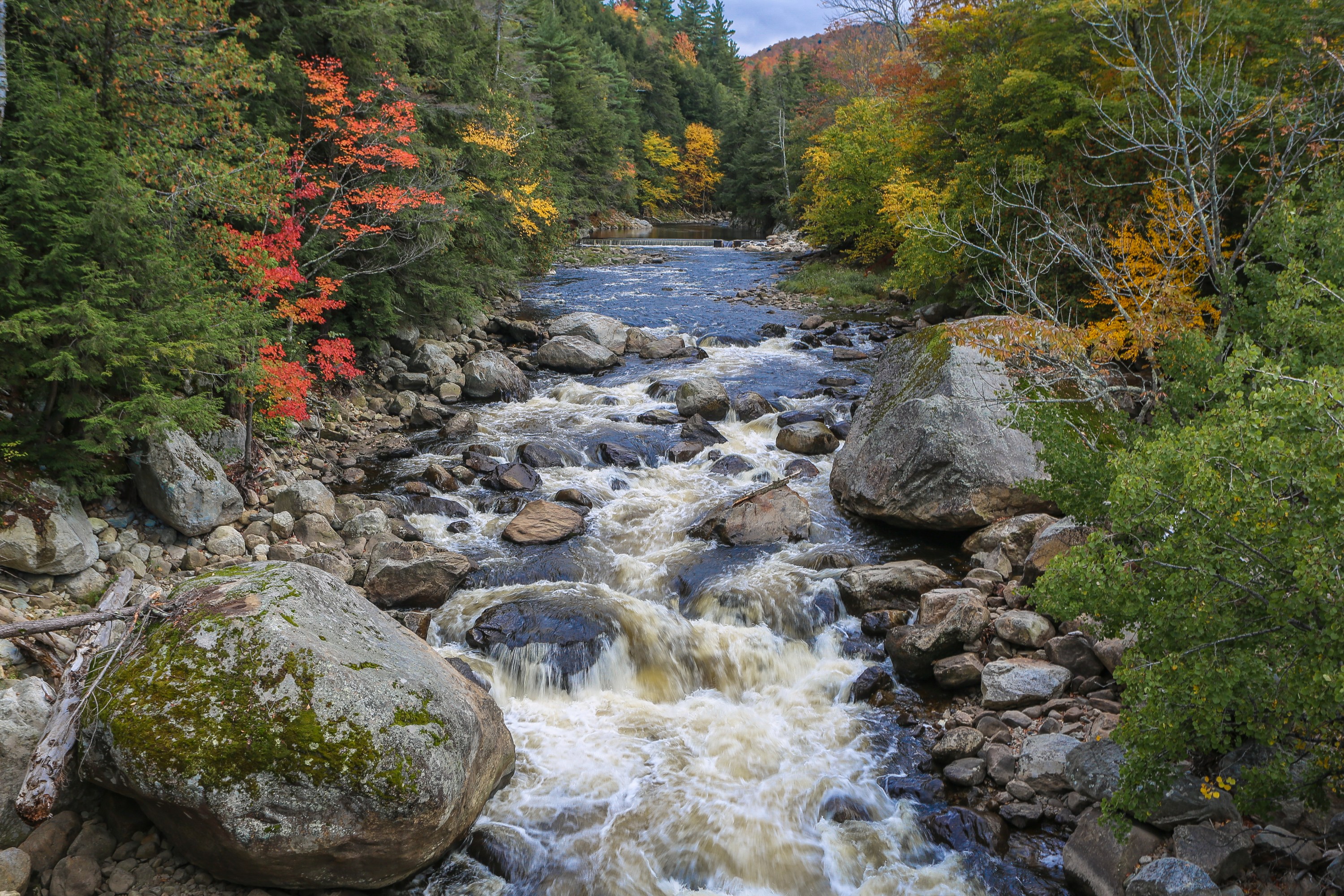 Best Trout Fishing in New York: 5 Trout Streams You Can't Miss