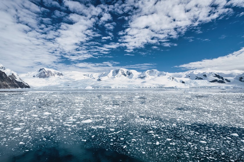 New "Otherworldly" Species with 20 Arms Found in Antarctic Ocean