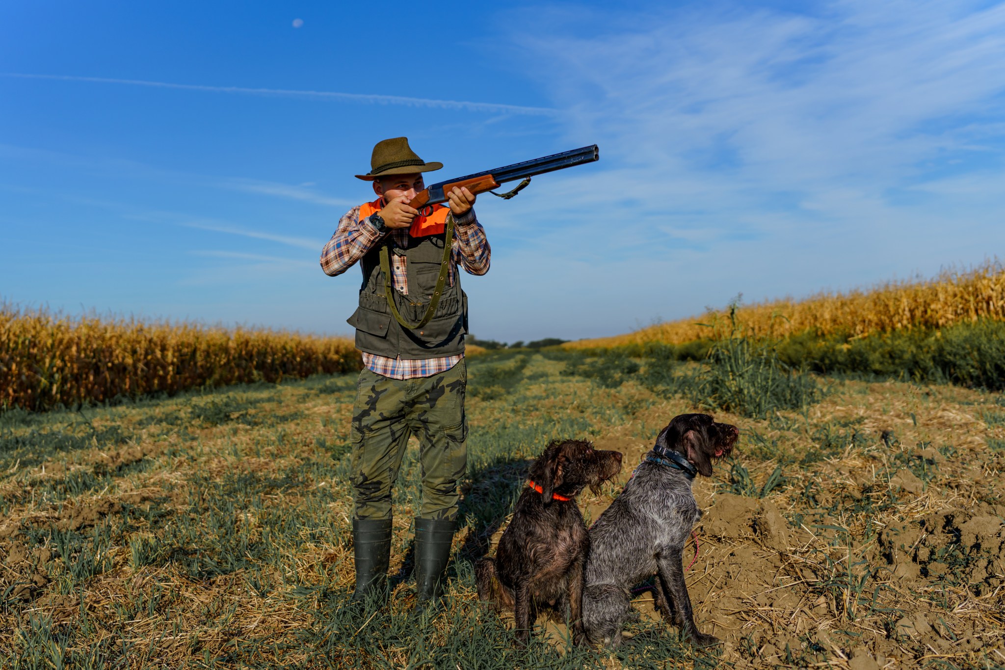 20 Hunting Dog Breeds That Make the Best Field Companions