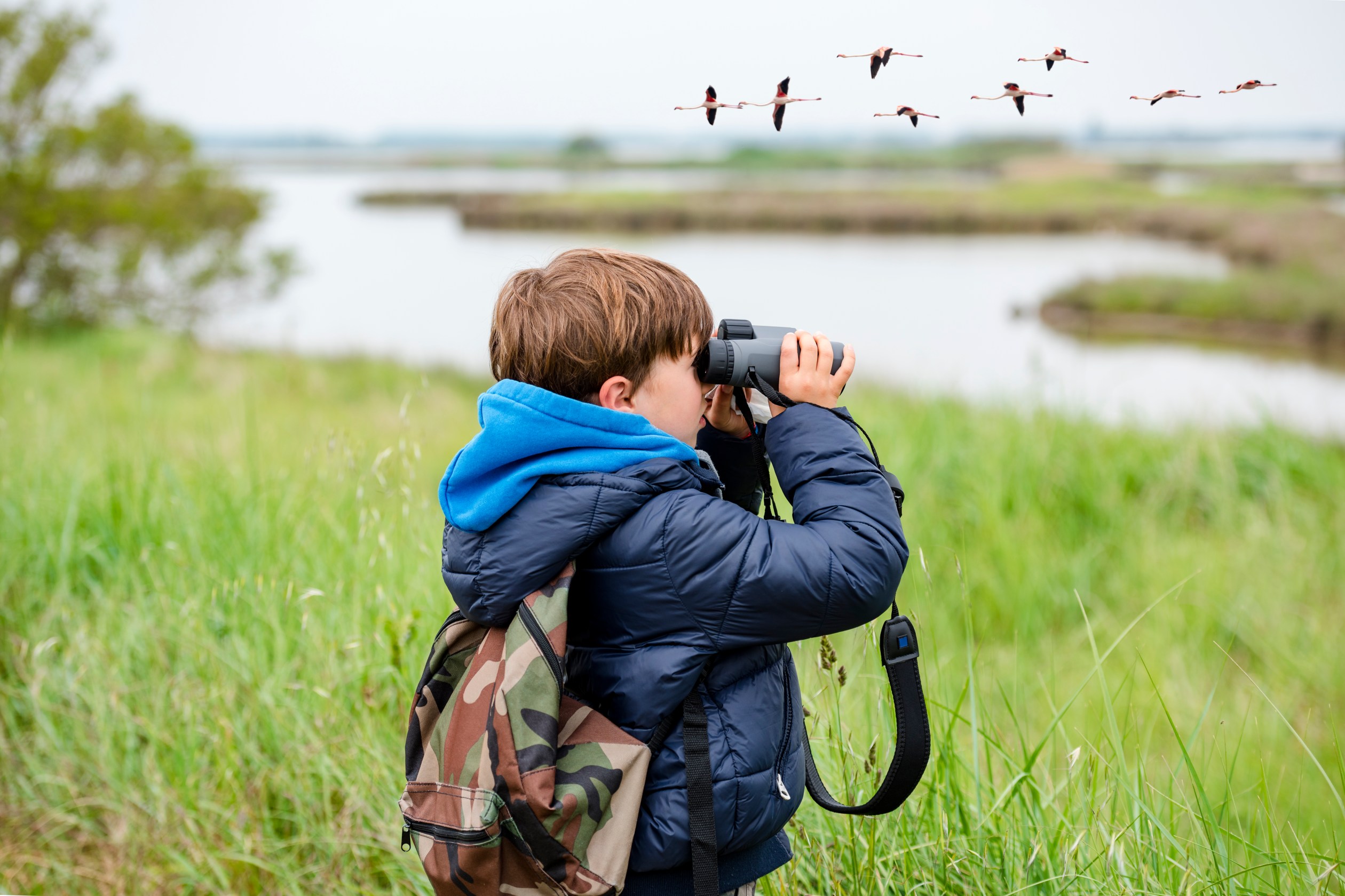 A Beginner’s Guide to Birdwatching: Advice from Experts on Birding
