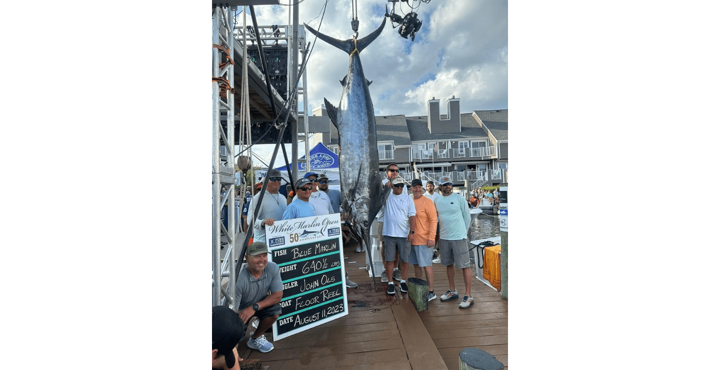 Massive, 640-Pound Marlin Breaks World Record by Winning $6M