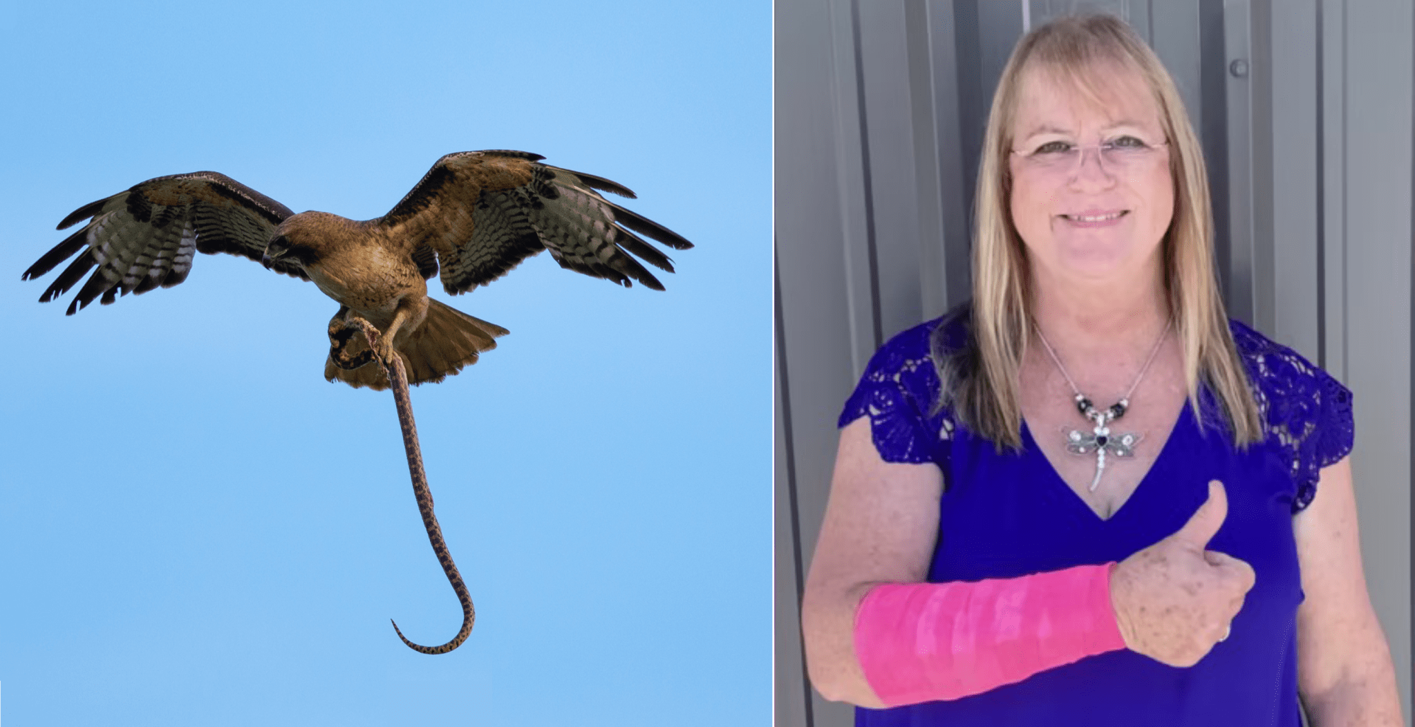 Woman Viciously Attacked By Snake and Hawk That Fell From Sky
