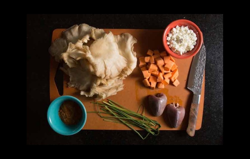 11 Best Dove Recipes You Should Definitely Try this Fall