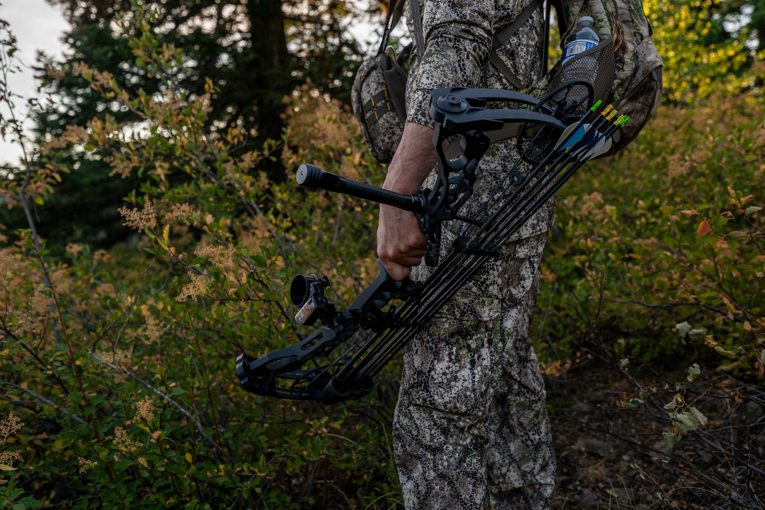 How to Get Your Bow Ready for Deer Season