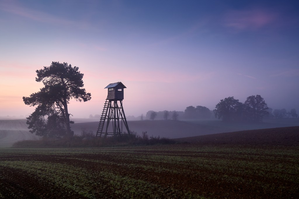 Where to Place Your Bowhunting Treestand This Season