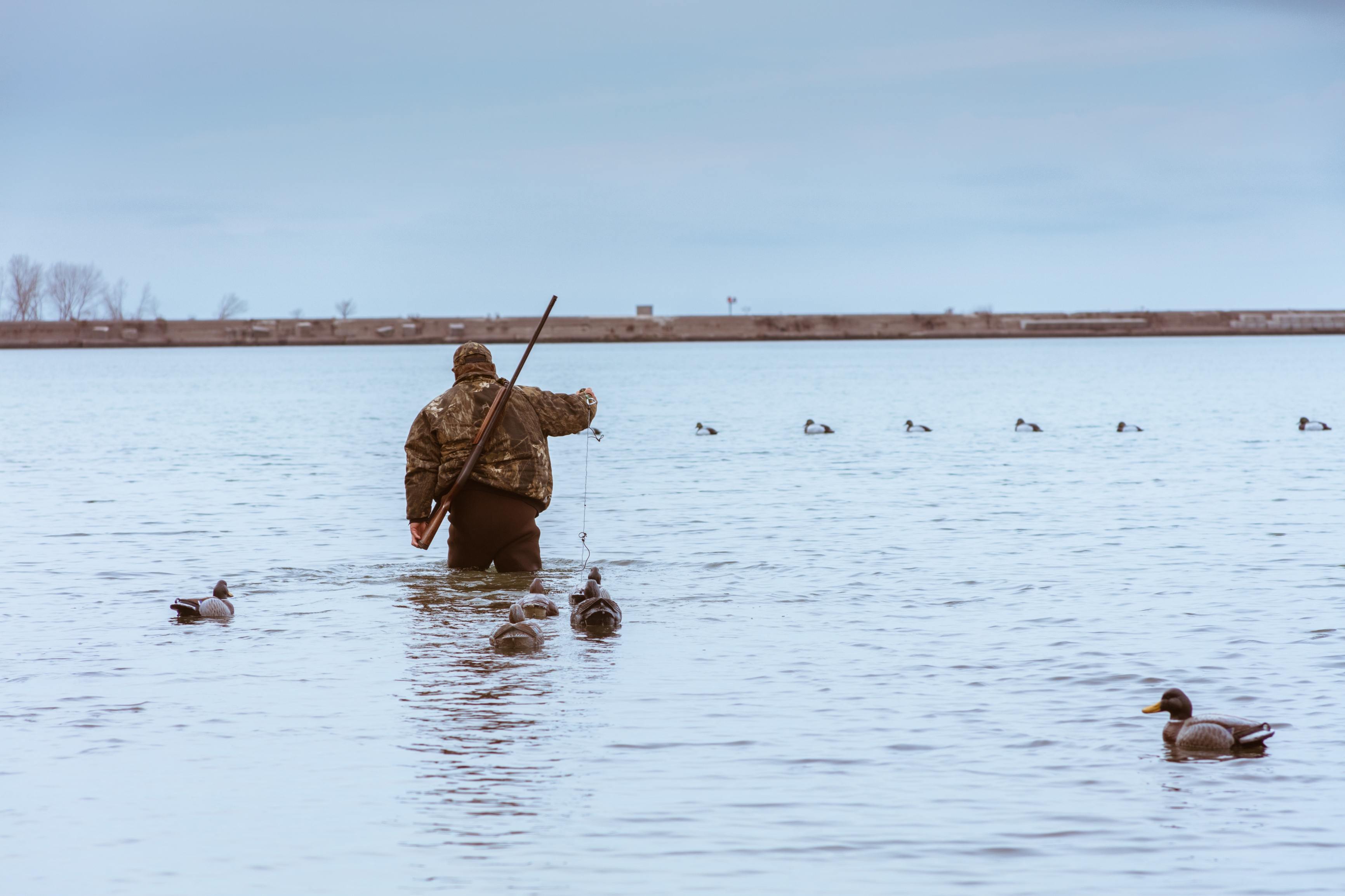 How to Prep for Duck Hunting Season in 7 Easy Steps