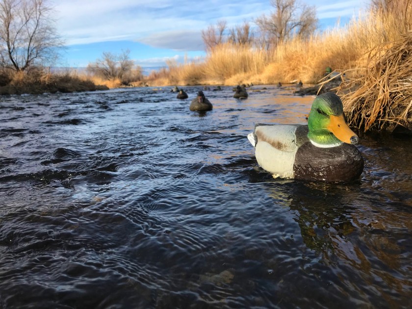 Best Duck-Hunting States: 10 Premier Waterfowl Destinations