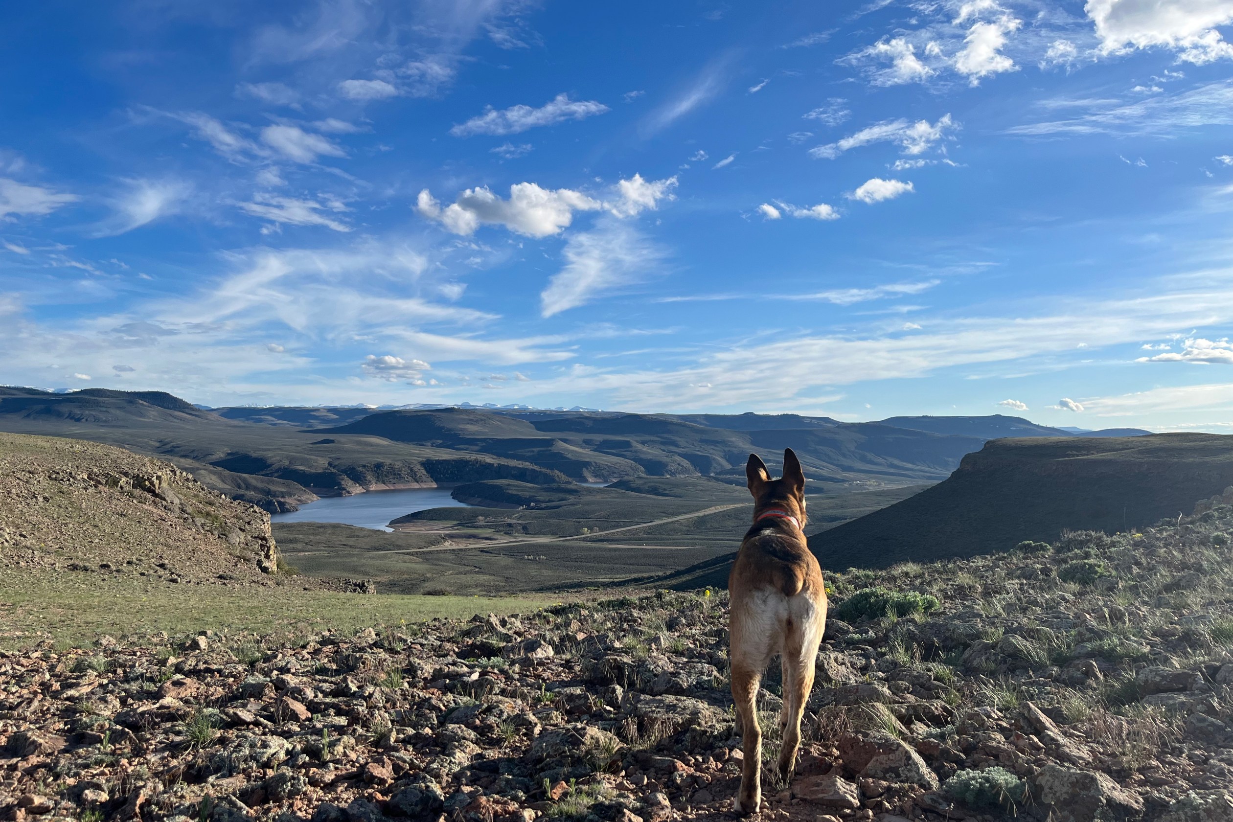 Curecanti National Recreation Area Is Colorado's Best Kept Secret