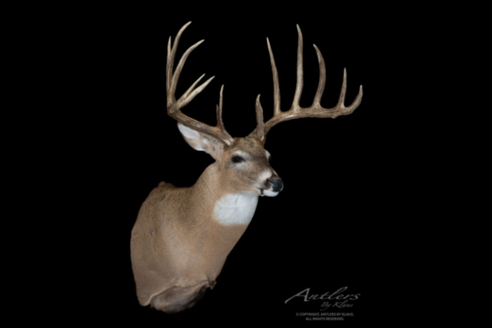 The Milo Hanson Buck: The Story the World-Record Buck