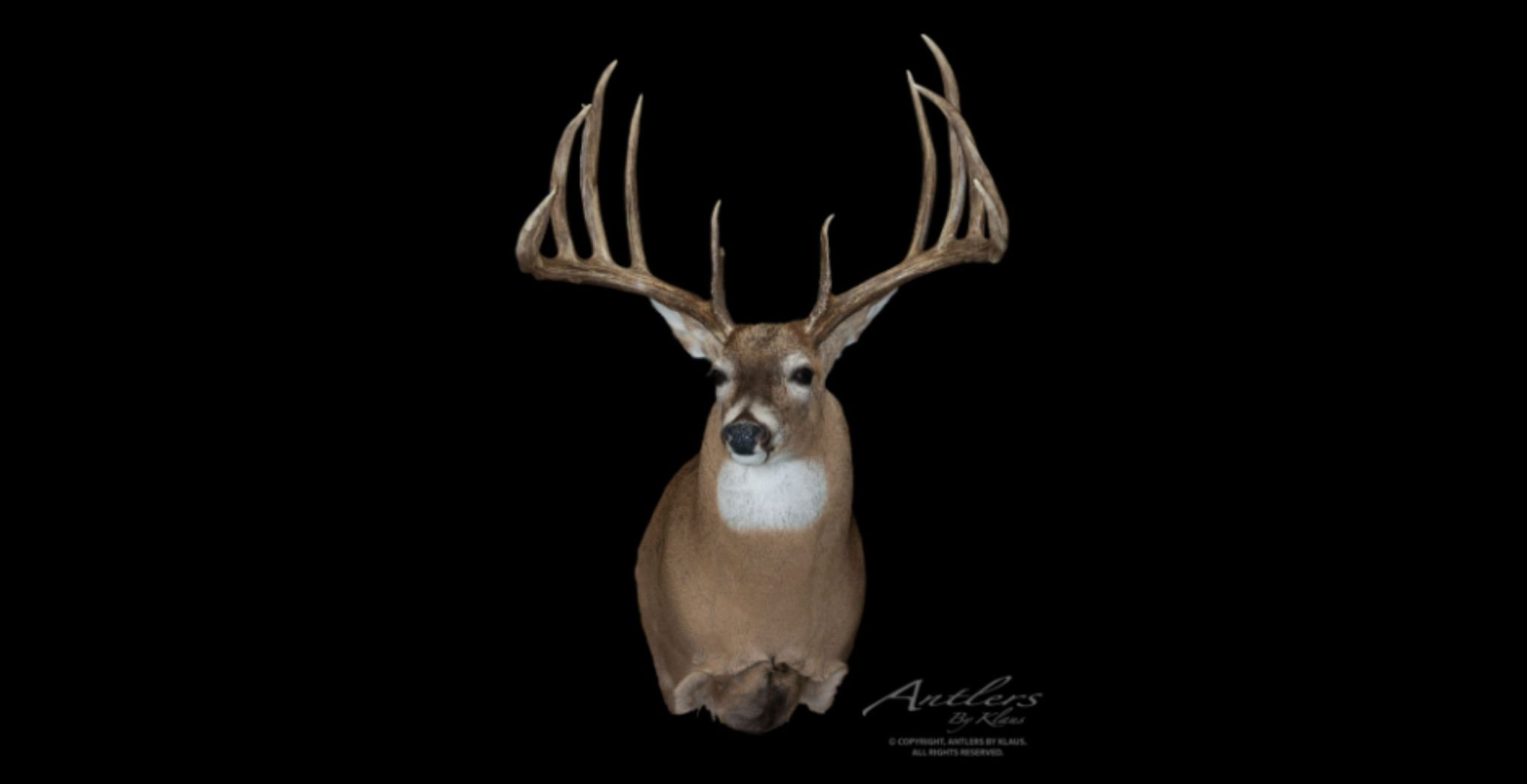 The Milo Hanson Buck: The Story the World-Record Buck