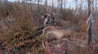 9 Most Popular Hunting Shows of All Time