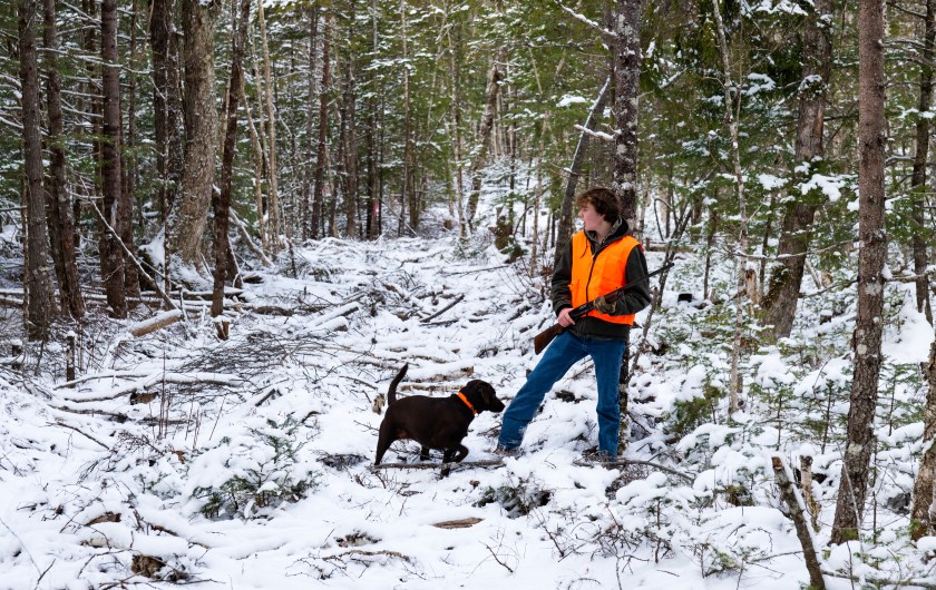The Best Upland Hunting Tips, from a Long-Time Bird Hunter