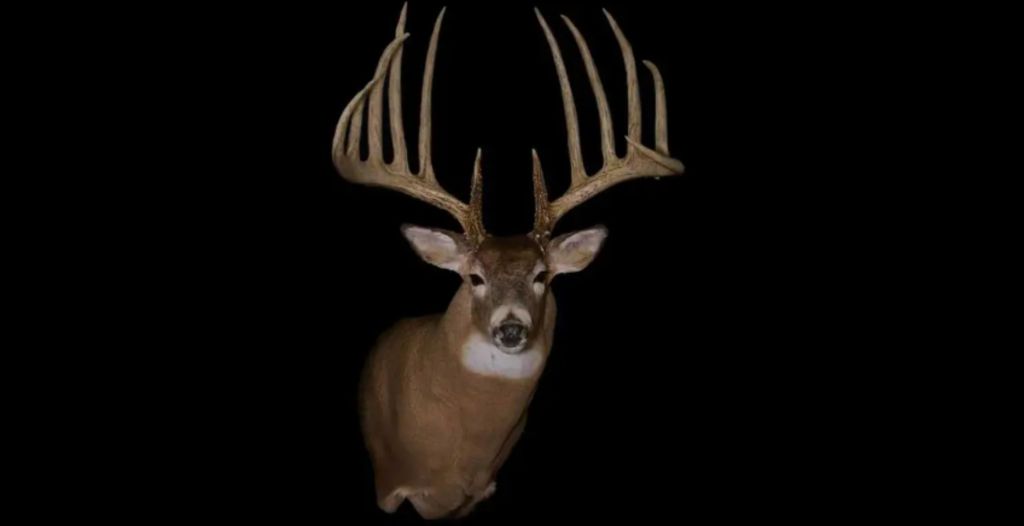The Legend of the "Kansas King" Buck & His World Record Sheds