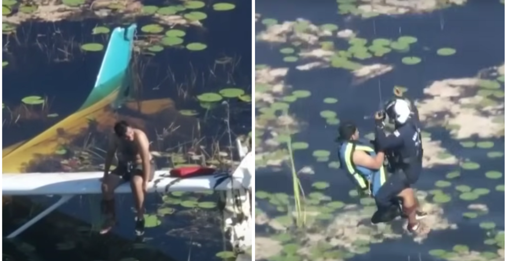 Pilot Crashes, Stranded In Alligator-Infested Waters for 9 Hours
