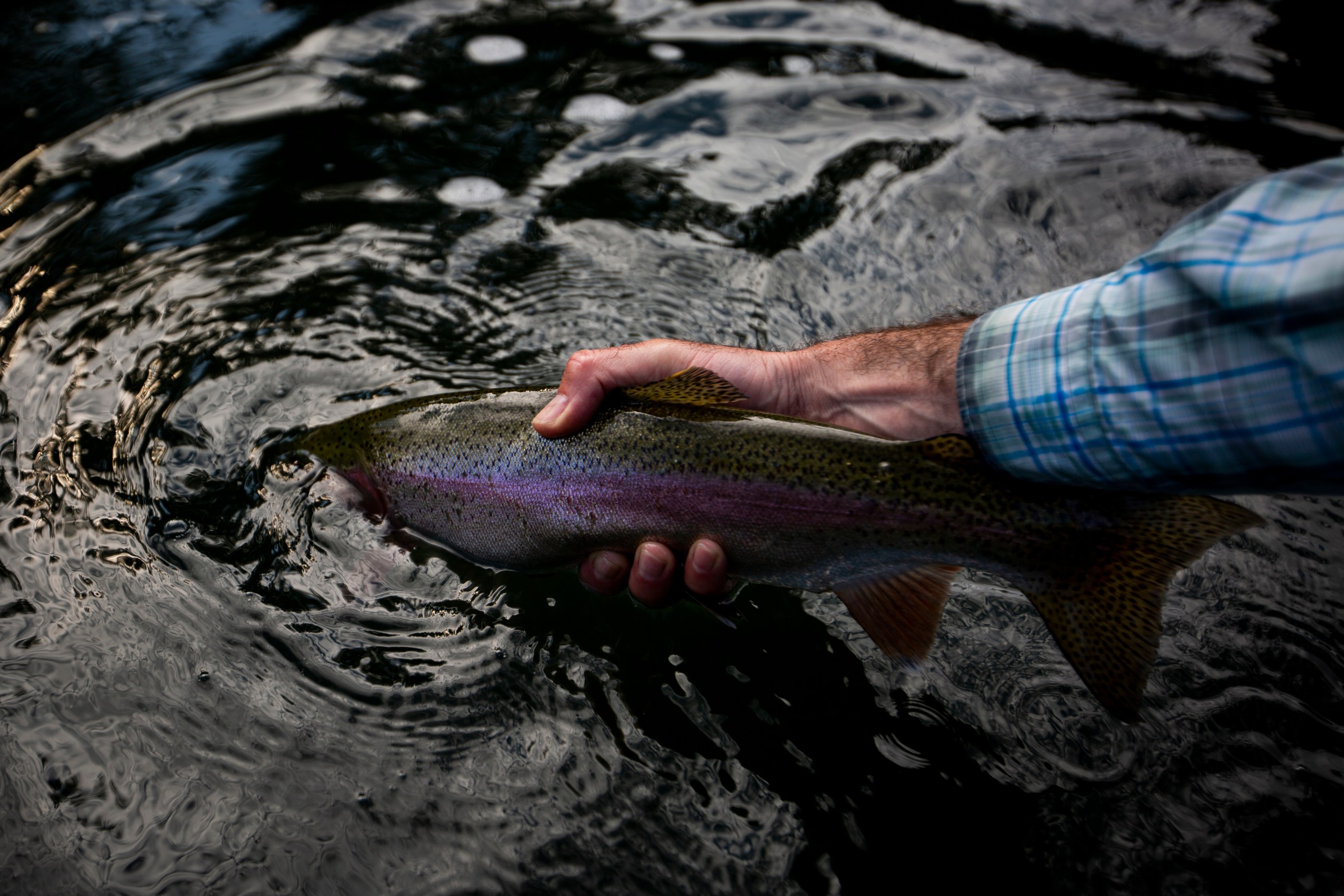 10 Best Fishing Destinations Around the World