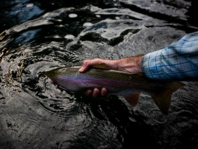10 Best Fishing Destinations Around the World