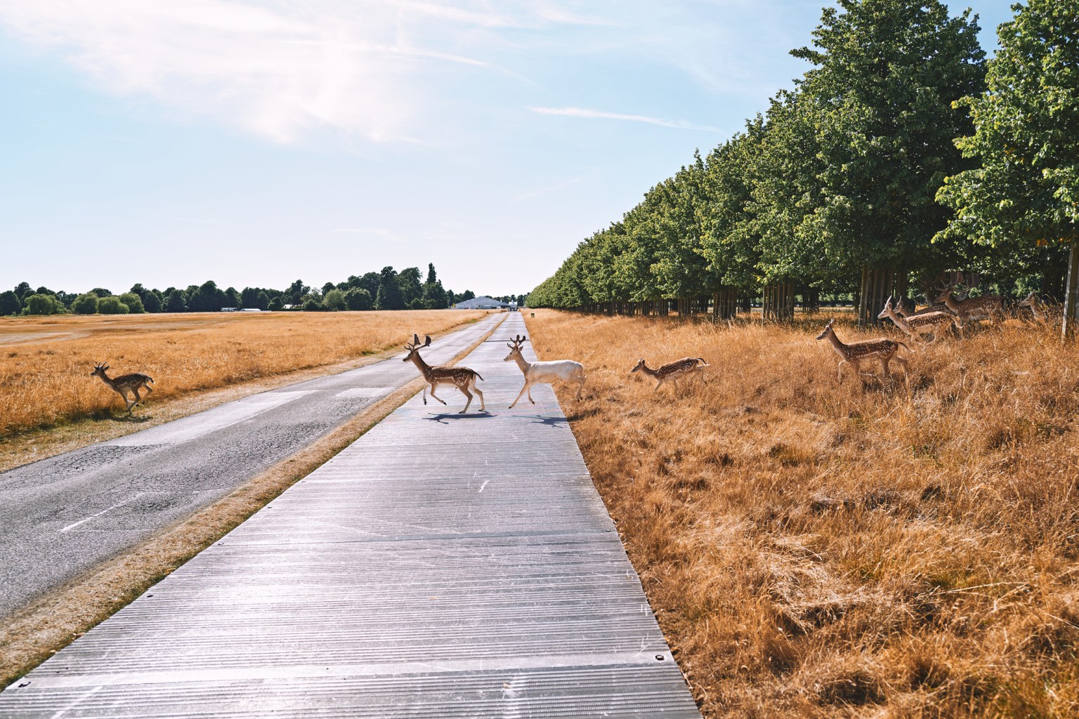 Conservation: Latest Policy News & Reform