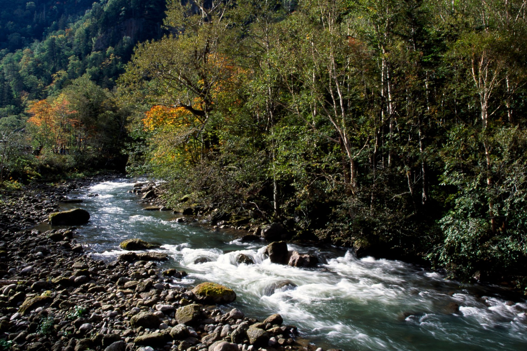 10 Best Fishing Destinations Around the World