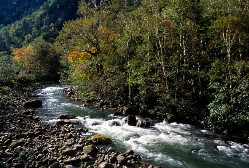 10 Best Fishing Destinations Around the World