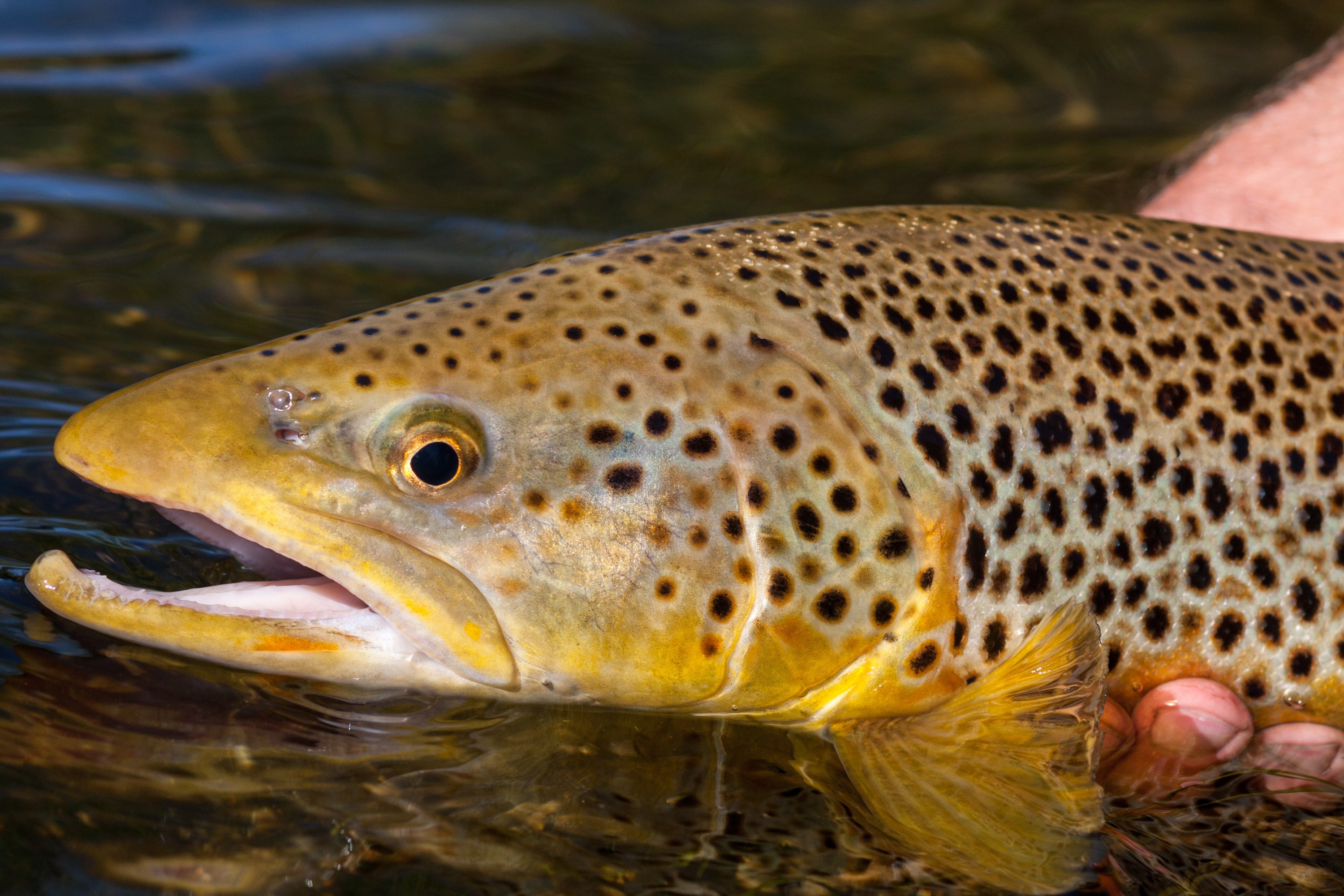 10 Best Fishing Destinations Around the World